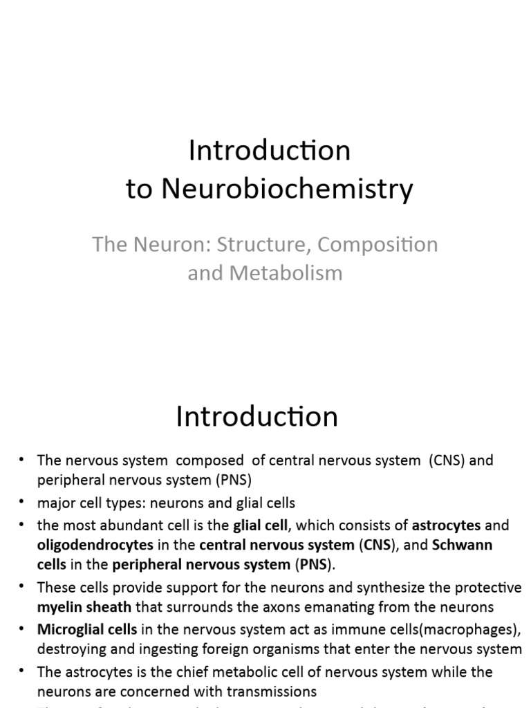 Introduction To NEUROBCM | PDF | Nervous System | Neuron
