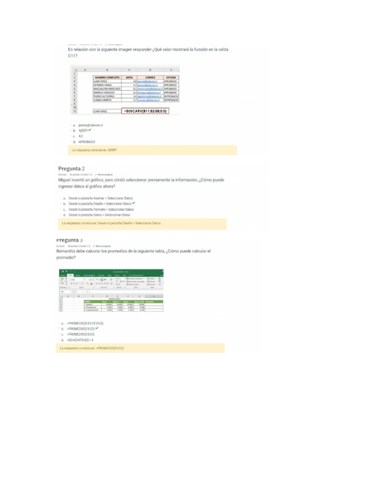 Prueba Final Excel Basico Iplacex | PDF