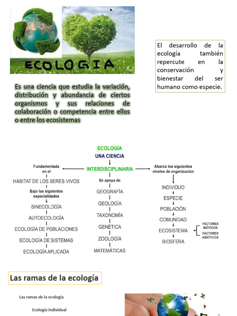 Segundo Tema Ecología Pdf Ecología Organismos