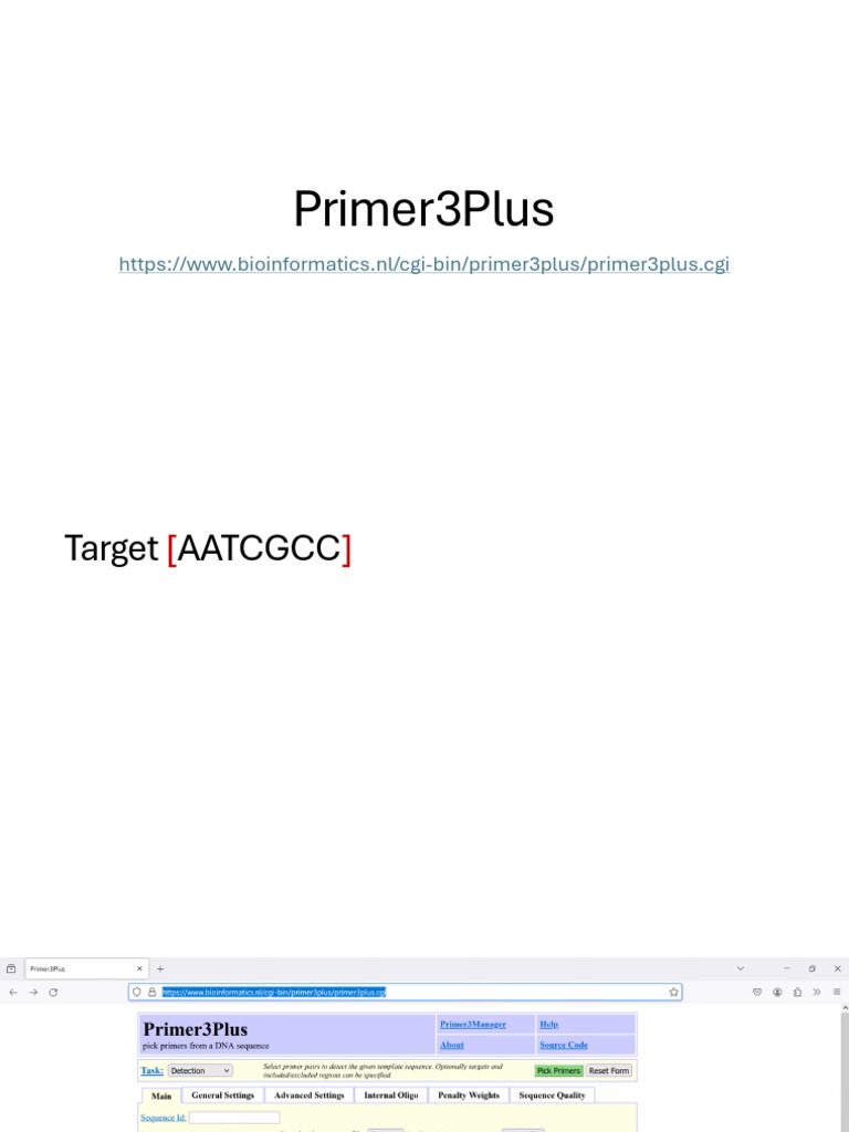 Primer 3 Plus | PDF
