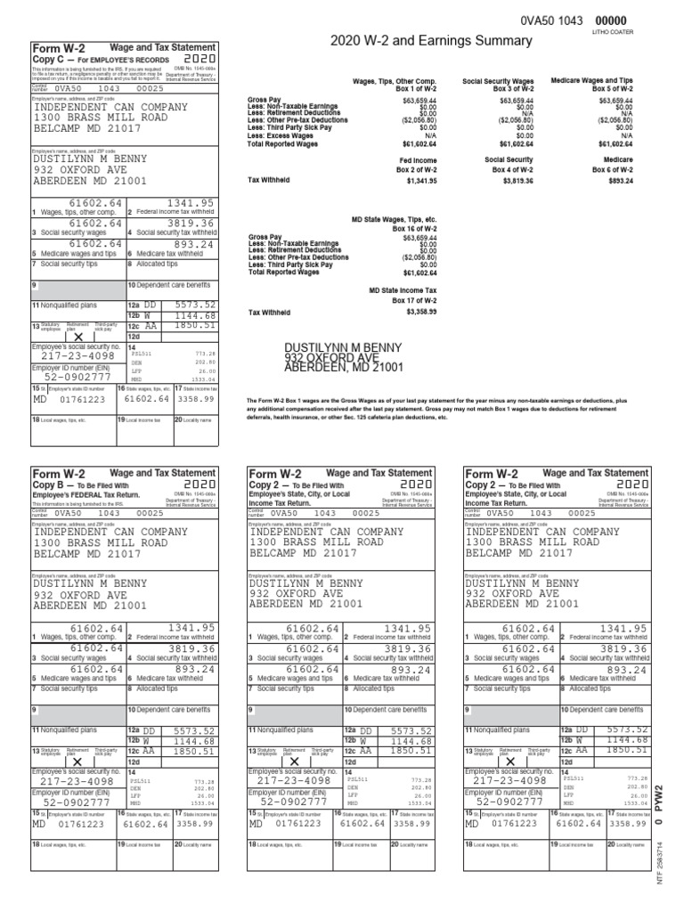 2020 W-2 Wage and Tax Statement Guide | PDF | Irs Tax Forms | Social ...