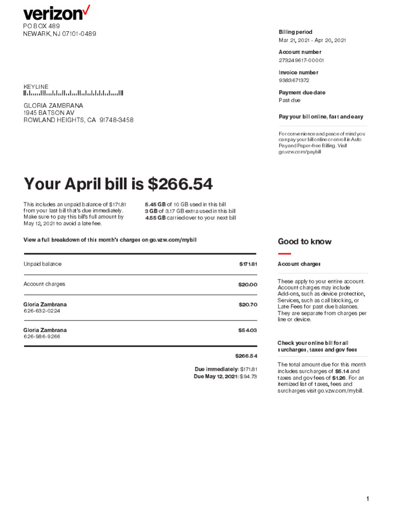 Utility Bill PDF | PDF | Fee | Verizon Communications