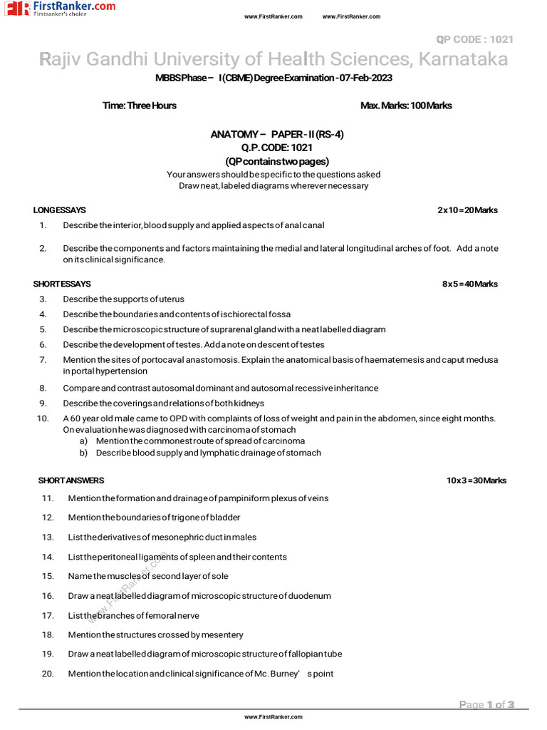 Anat Paper 4 | PDF | Angiology | Human Anatomy