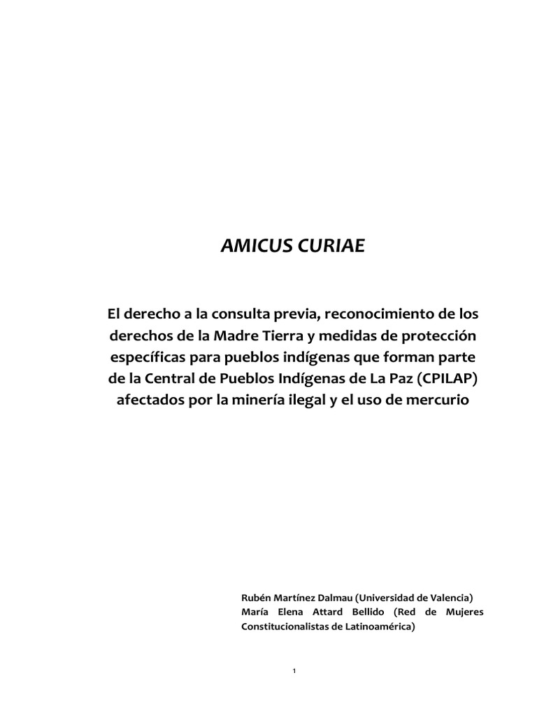 Amicus Curiae CPILAP | PDF | Caso de ley | Convenio europeo de derechos ...