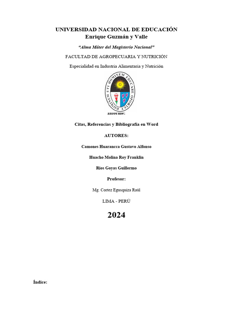 TICS Informe | PDF | Citación | Bibliografía