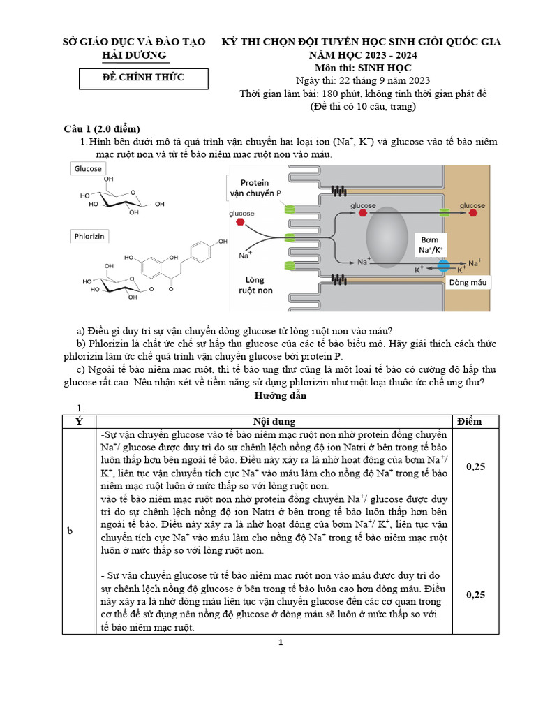 Hai duong HDC chọn HSG QG năm 2023 2024 2 | PDF