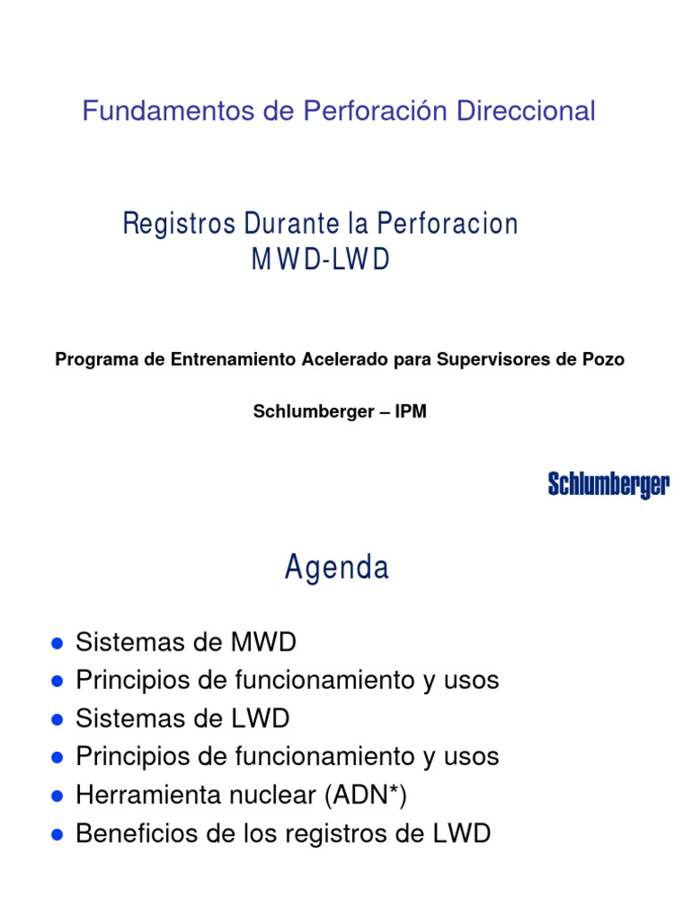 Registros Durante La Perforación MWD LWD | PDF | Fenomeno fisico