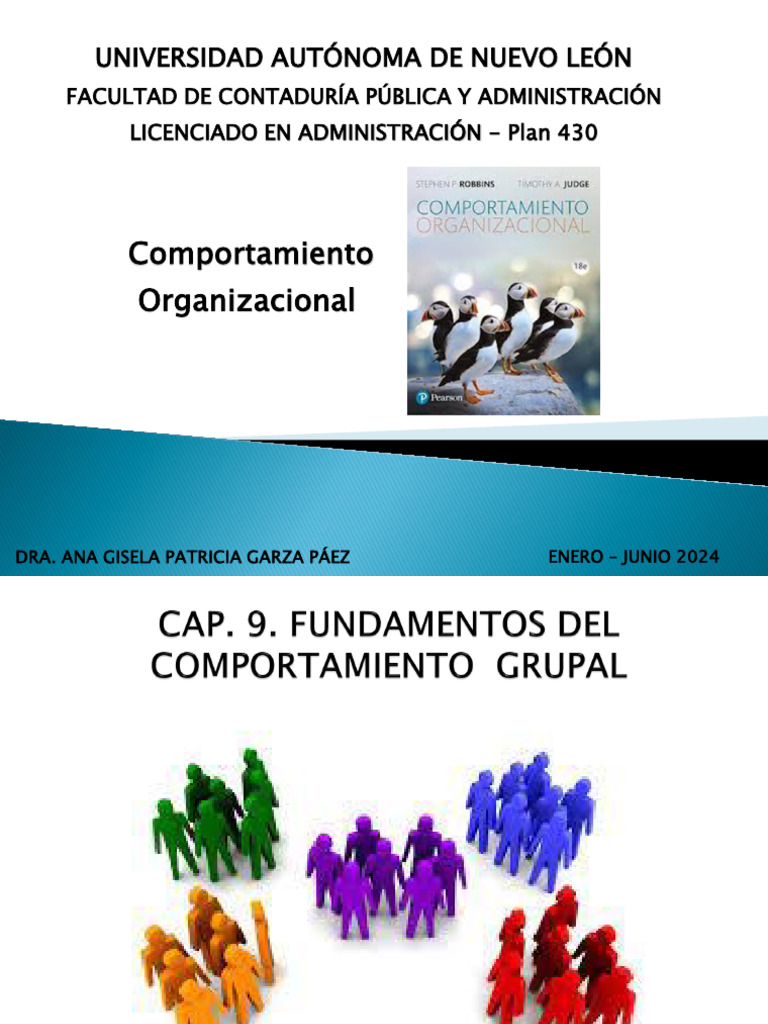 Cap. 9 Fundamentos Del Comportamiento Grupal | PDF | Toma de decisiones | Sicología