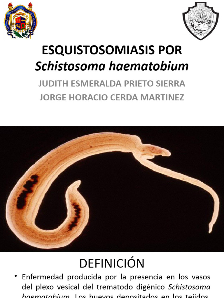 ESQUISTOSOMIASIS POR Schistosoma Haematobium | PDF | Especialidades ...