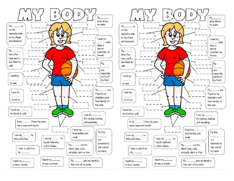 Body Parts | PDF