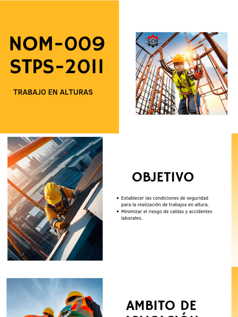 Presentacion NOM-009 | PDF