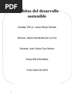 Principios y Dimensiones de La Sustentabilidad | PDF | Sustentabilidad | Desarrollo sostenible
