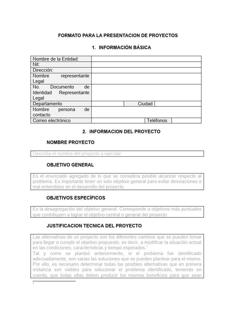 Formato - Presentacion de Proyectos | PDF