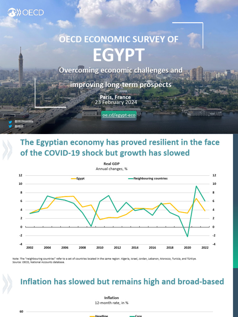 Egypt Economic Survey | PDF | Gross Domestic Product | Inflation