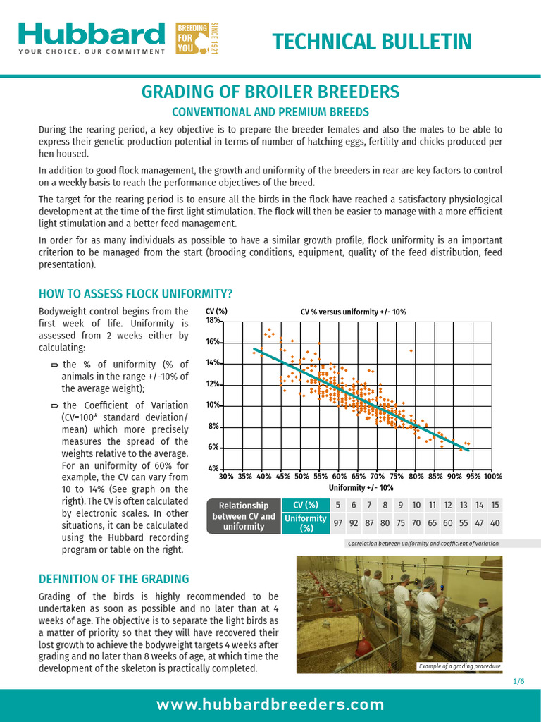 ps-technical-bulletin-global-grading-of-broiler-breeders-en | Download Free PDF | Broiler ...