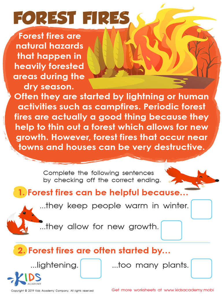 Grade 3 Forest Fires Worksheet | PDF