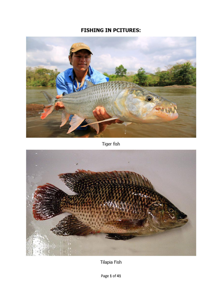 Fishing in Pictures | PDF | Angling | Fish