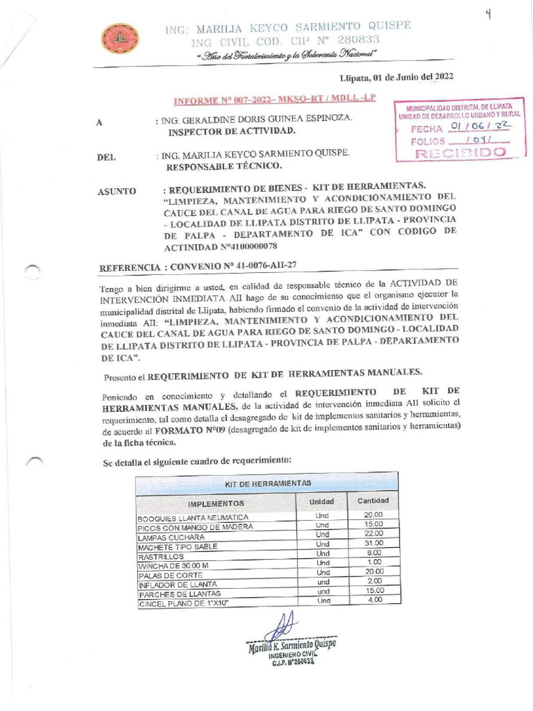 Modelo Requerimiento | PDF