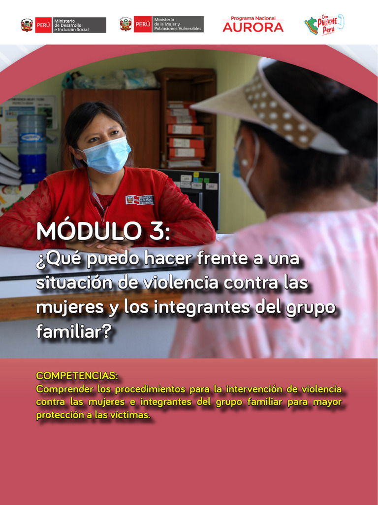 Curso Violencia Contra La Mujer Modulo 3 | PDF | La violencia contra las mujeres | Violencia ...