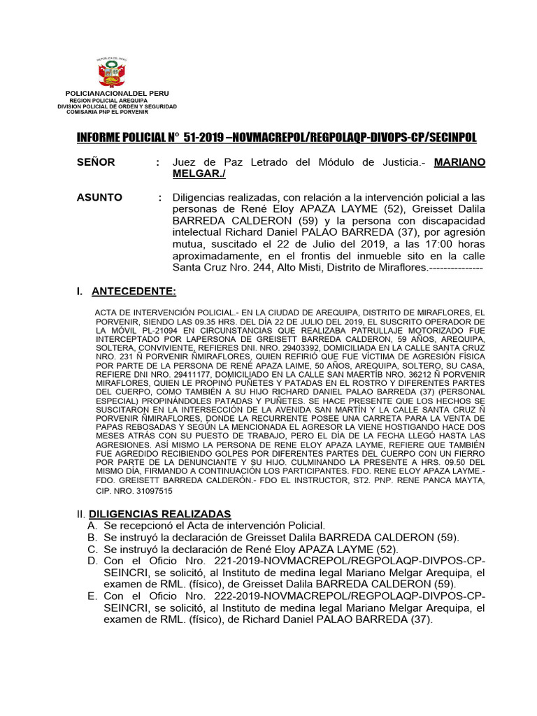 Informe Policial N | PDF | Gobierno