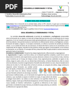 Origen Embrionario de Los Tejidos | PDF | Embrión | Biología del desarrollo