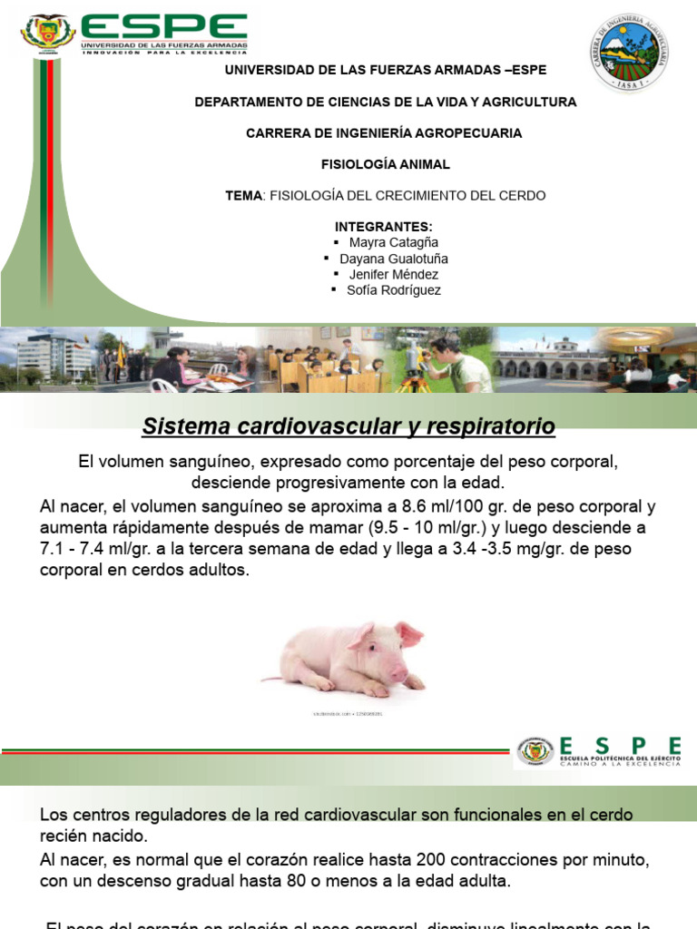 Fisiologia Del Crecimiento Del Cerdo 2 | Descargar gratis PDF | Termorregulación | Fisiología