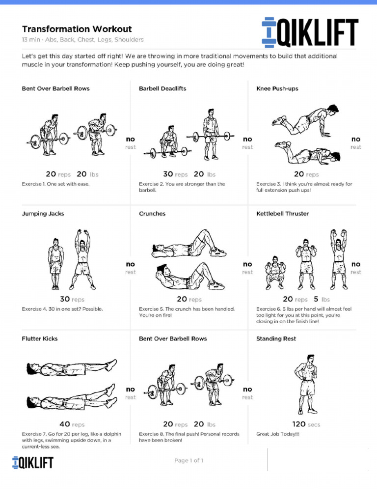 Mens Transform 16 | PDF