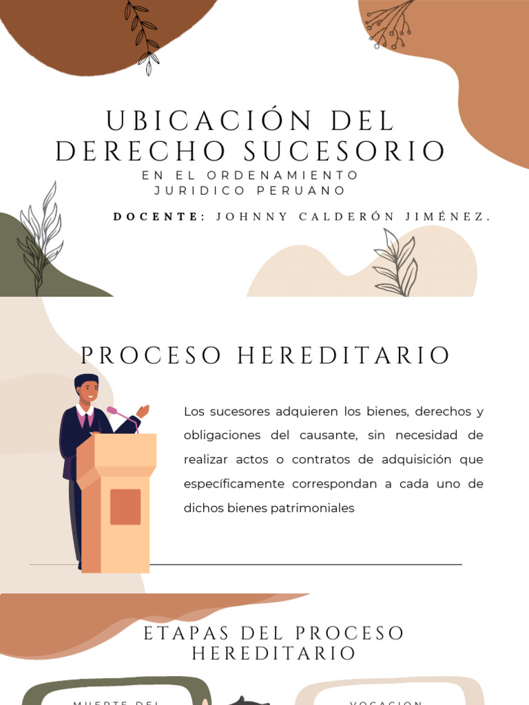 CLASE 02 SUCESIONES | PDF | Herencia | Justicia