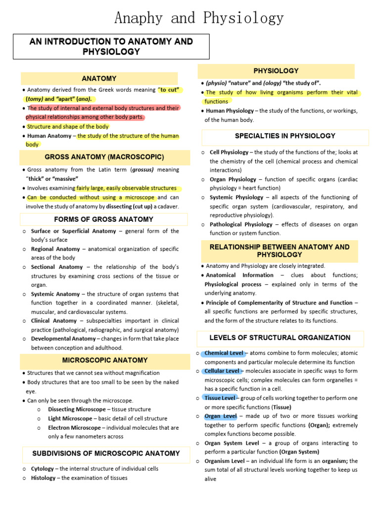 Anaphy Prelims | PDF | Epithelium | Cell Membrane