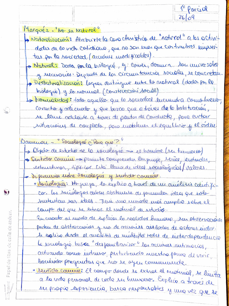 Resumen Socio 1p Mio | PDF