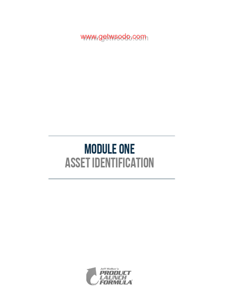 PLF_Stage3_M1_12_Asset_Identification_PDF | PDF | Blog | Social Media