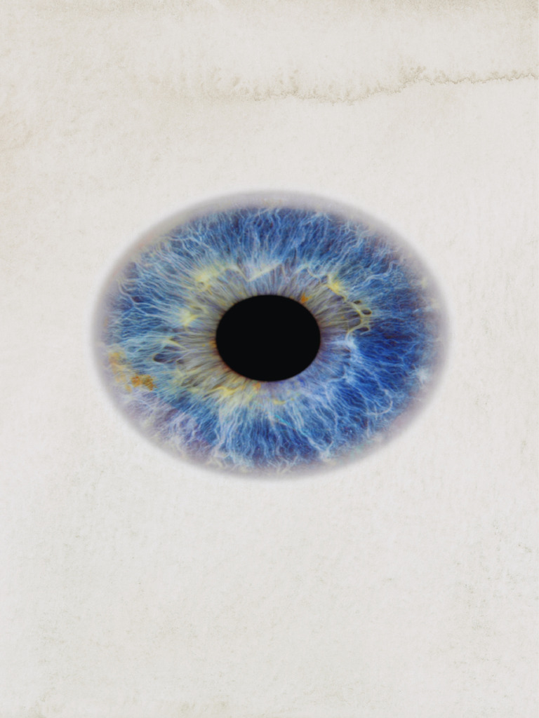 Eye | PDF