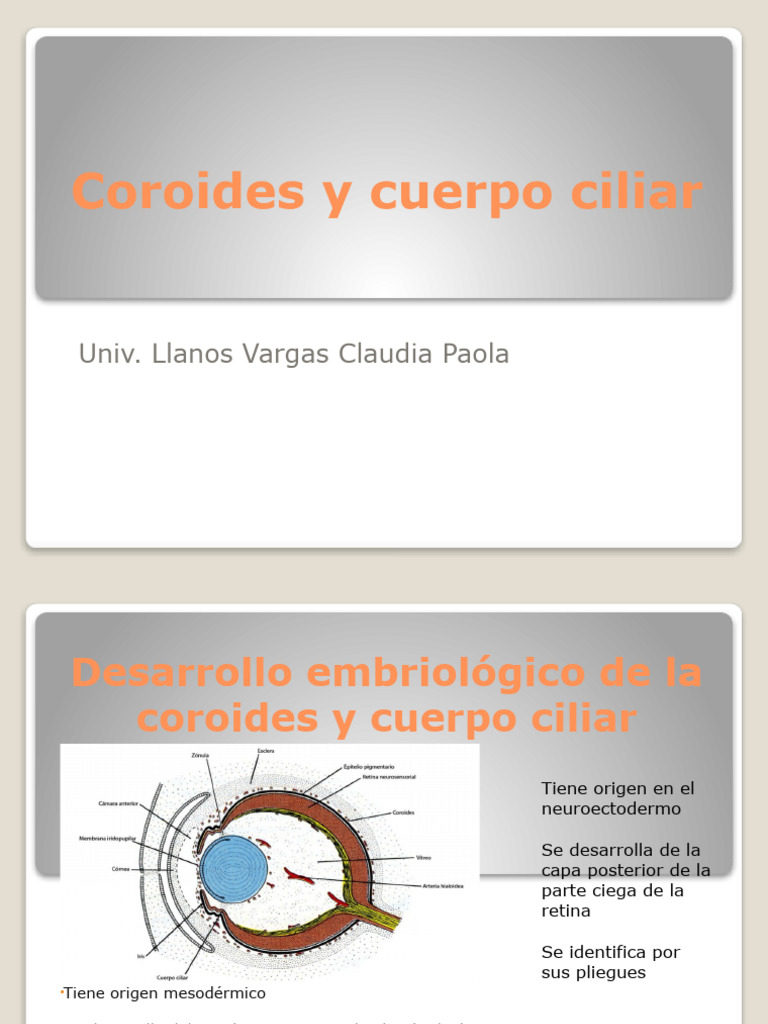 Coroides y Cuerpo Ciliar | PDF | Tejido conectivo | Morfología (biología)