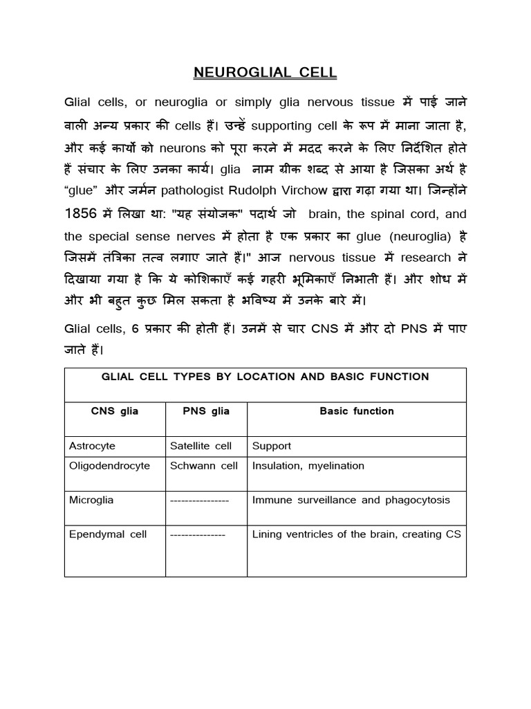 Neuroglial cell | PDF