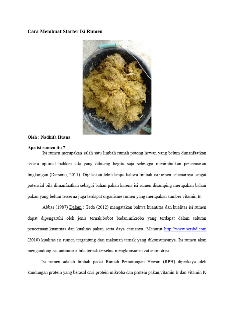 Cara Membuat Starter Isi Rumen | PDF | Memasak, Makanan, & Anggur ...