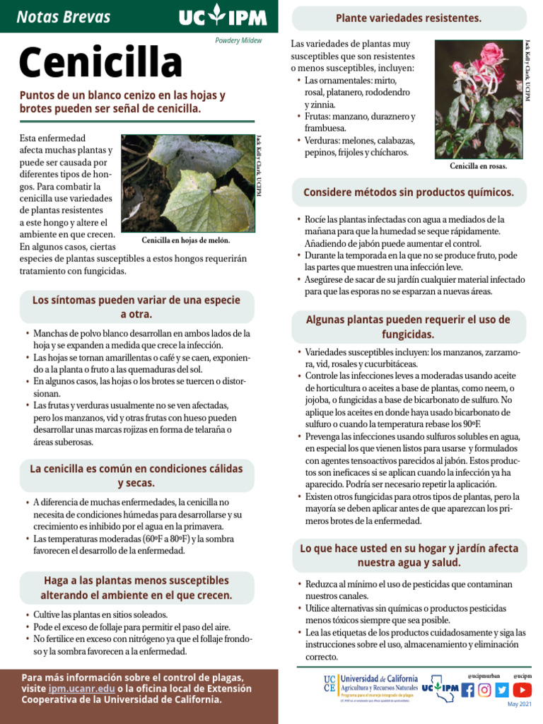 Control de Cenicilla en Plantas | PDF | Agua | Pesticida