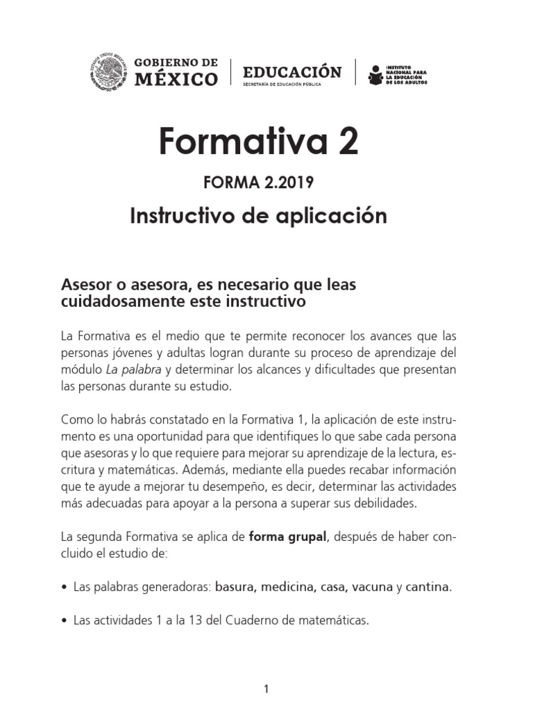Instructivo Aplicacion Formativa 2 | PDF | Aprendizaje | Maestros