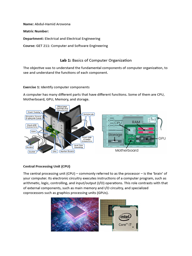 Basics of Computer Organization | PDF | Computer Data Storage | Central Processing Unit