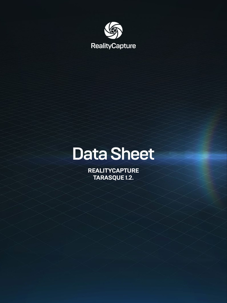RealityCapture for 3D Professionals | PDF | Computing | Computer Graphics