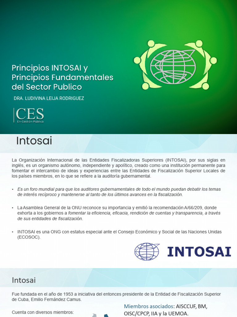 Principios INTOSAI. Principios Fundamentales de Auditoría Del Sector ...