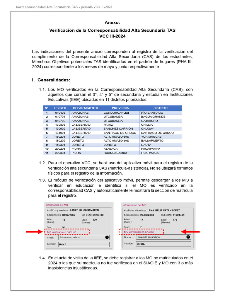 Anexo1_CAS 2024 | PDF