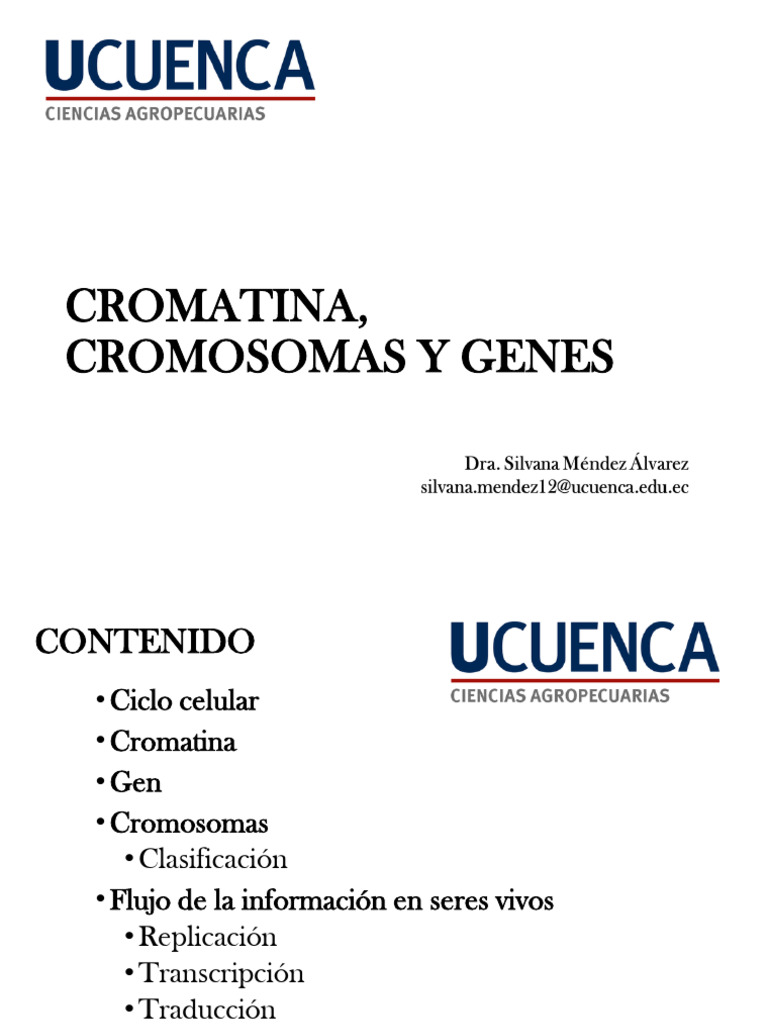 Estructura y Función de Cromatina y Genes | PDF | Cromosoma | Adn