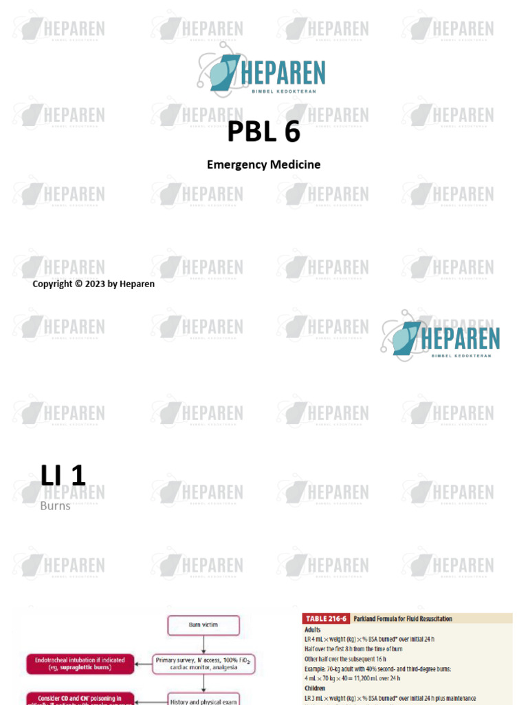 PBL 6 Blok KGD Heparen | PDF | Burn | Traumatic Brain Injury