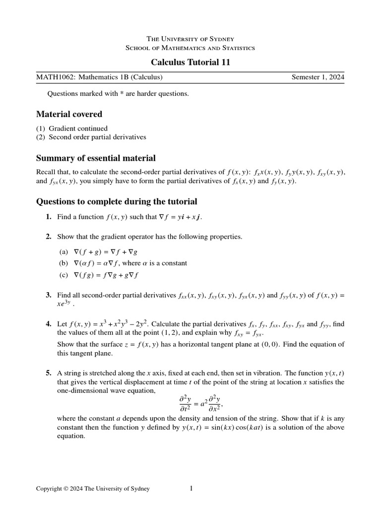 Calculus Tutorial 11 | PDF | Derivative | Wave Equation