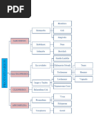 Protozoos Sarcodinos G5 | PDF | Organismos | Biología