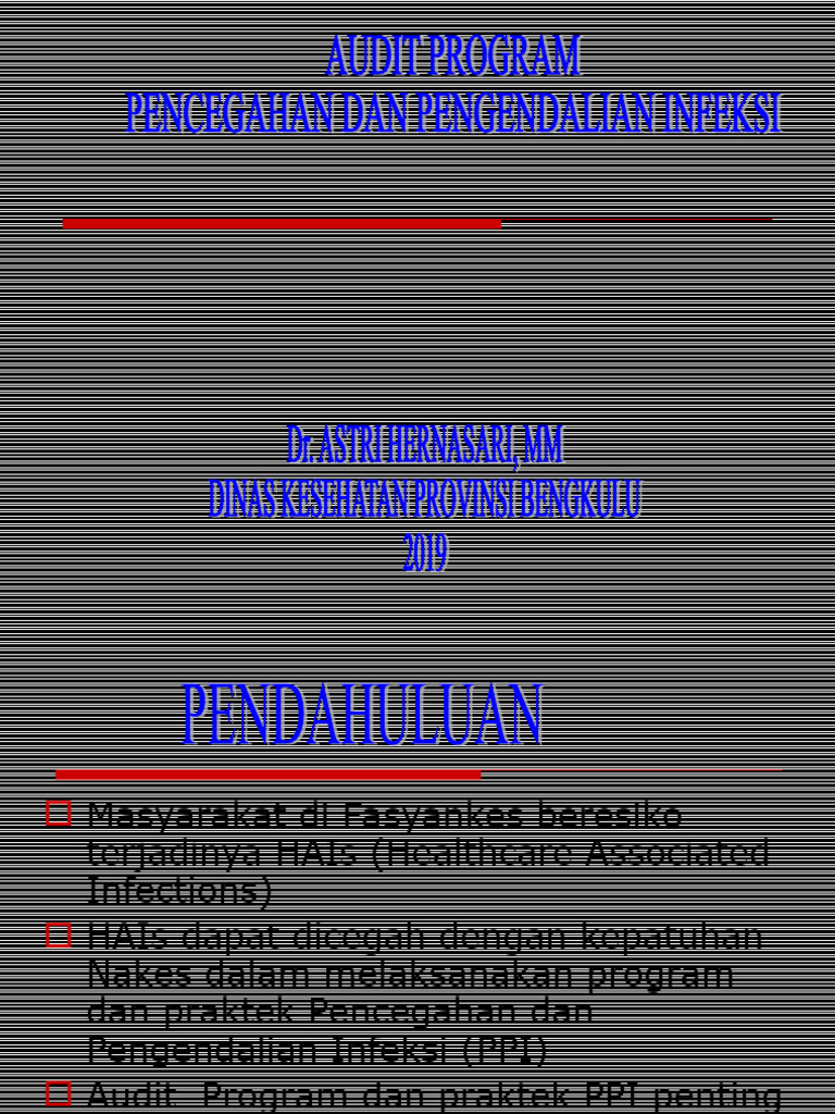 Audit Ppi | PDF