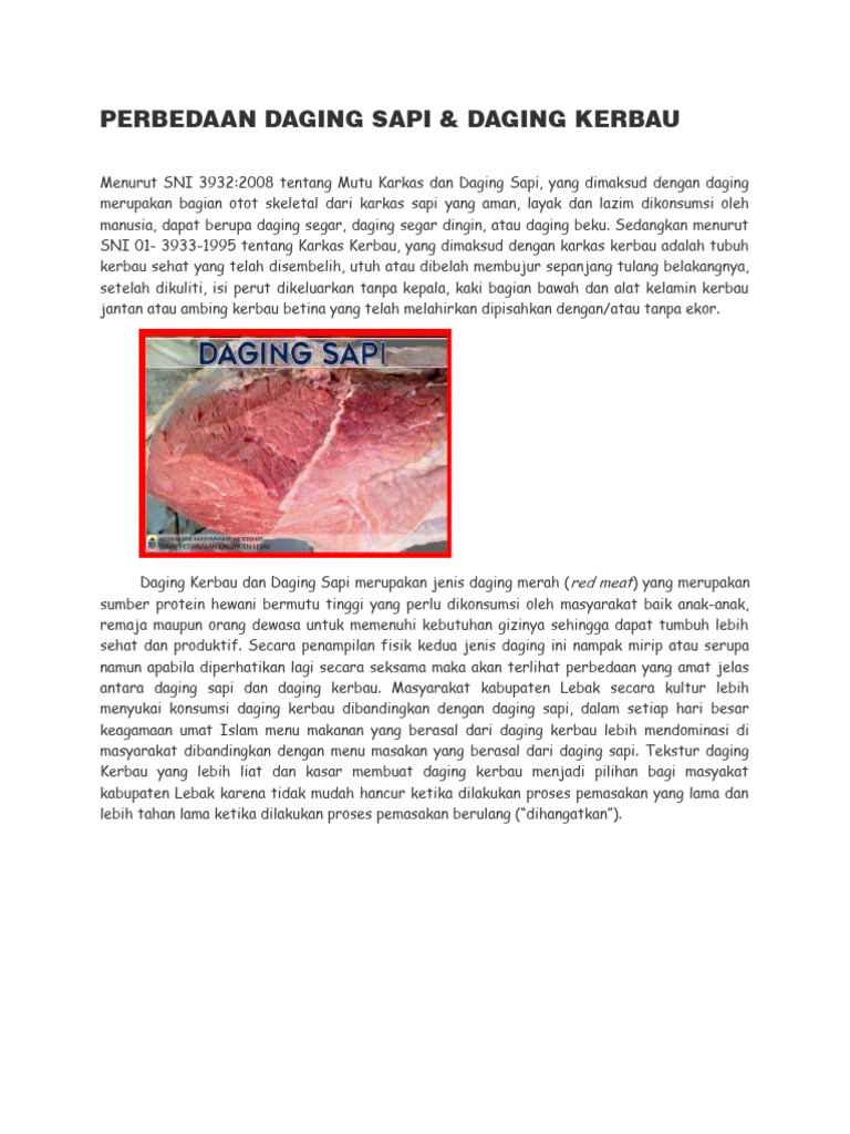 Perbedaan Daging Sapi Dan Daging Kerbau | PDF