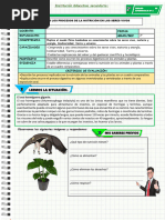 SESIÓN 1 - Conocemos Las Características de Los Seres Vivos y Su Composición - CYT - 1° | PDF ...