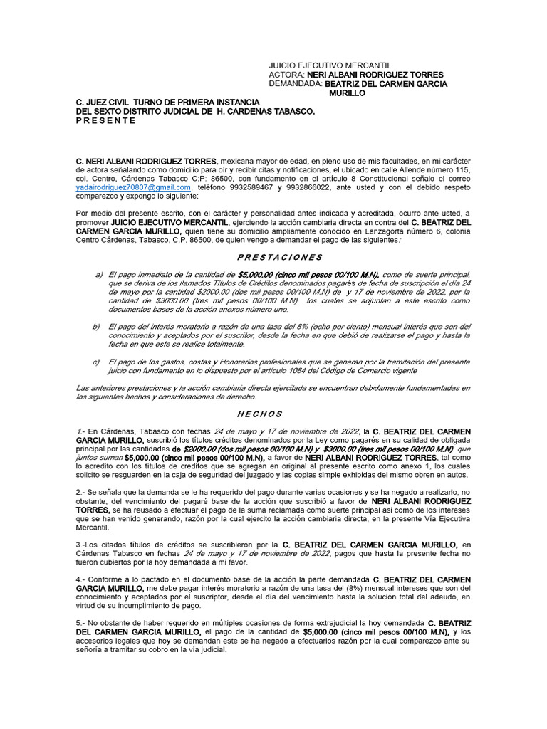DEMANDA MERCANTIL ALBANI Bety 24 | PDF | Gobierno | Justicia