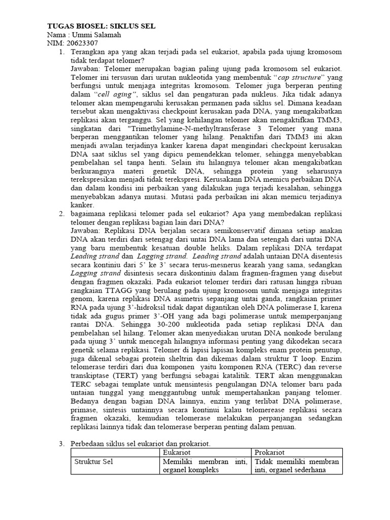 TUGAS BIOSEL - SIKLUS SEL - Ummi Salamah - 20623307 | PDF | Kesehatan ...